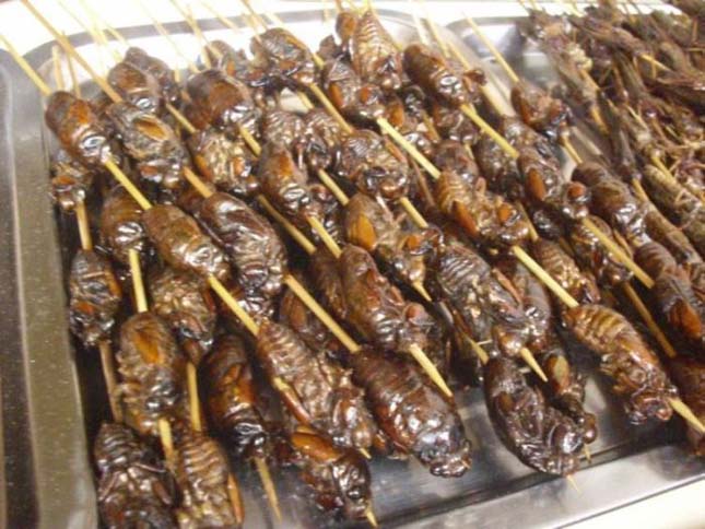 Sült bogarak, lárvák, polipok – A kínai árusok gyomorforgató kínálata ...