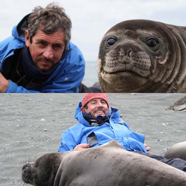 Így barátkoztak a fókák a filmessel – csodálatos felvétel | Érdekes Világ