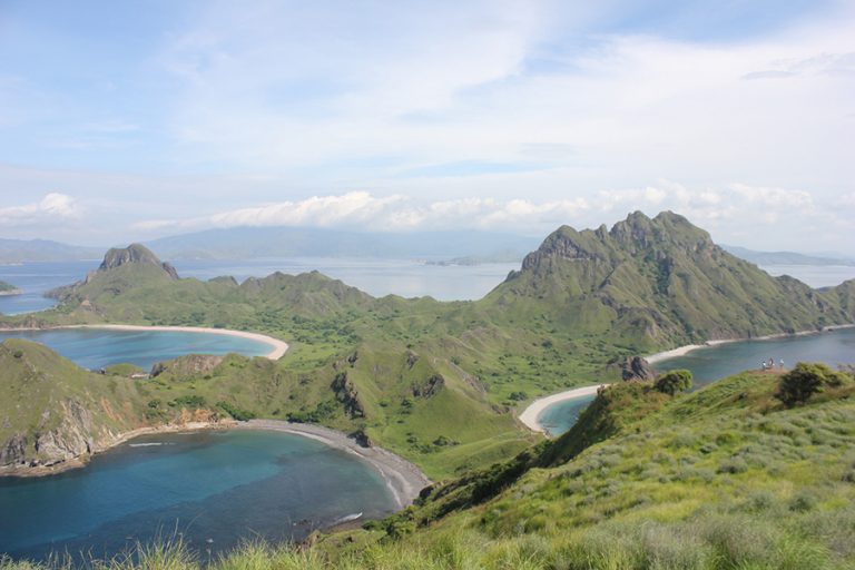 Tiltás helyett százszorosára emelték a komodói sárkányok látogatásának ...